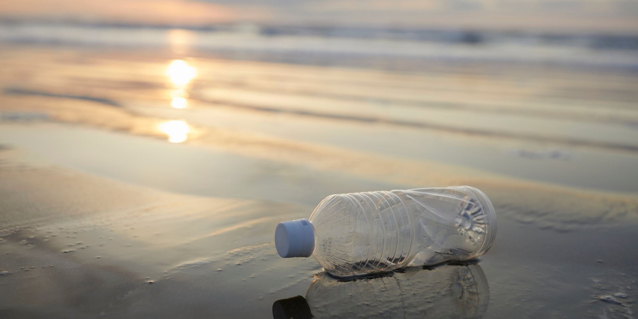 Plastic Free July: un mese per iniziare, ogni giorno per continuare ...